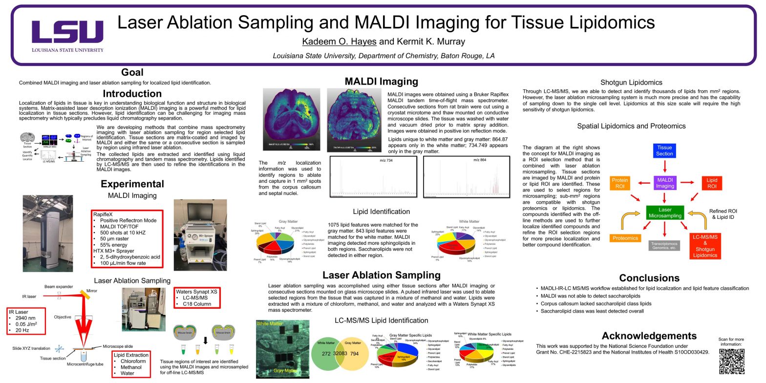 Laser-Ablation-Sampling-and-MALDI-Imaging-for-Tissue-Lipidomics – Murray Mass Spectrometry Group